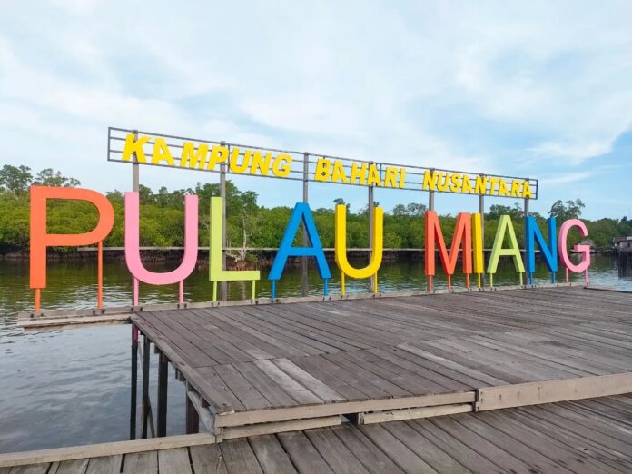 Pulau Miang, Kampung Bahari Nusantara dengan Biota Laut yang Eksotis ...